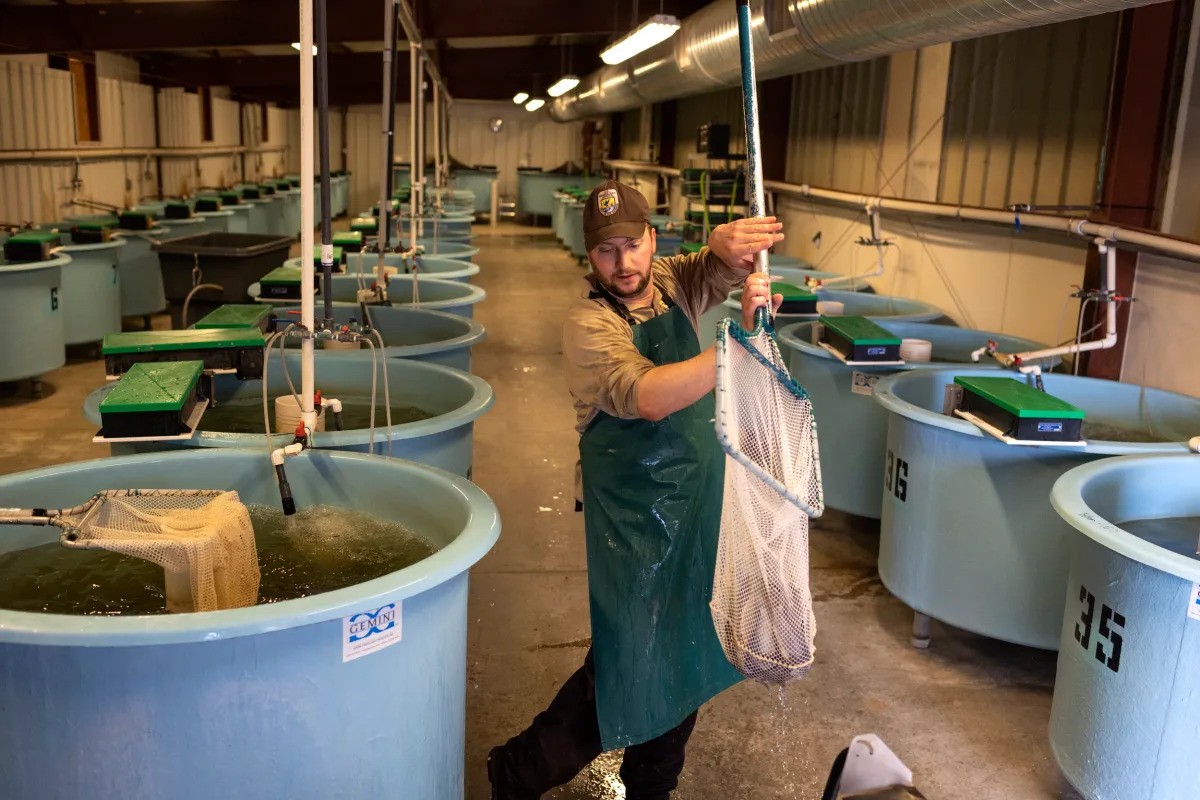 Congress approves continued funding for endangered fish recovery ...